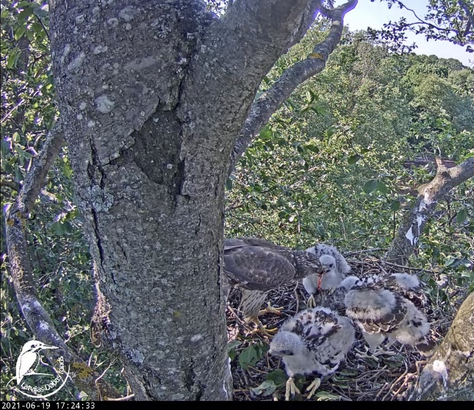 06F04DD4-3E3F-45F8-AC1A-97DE9645B055